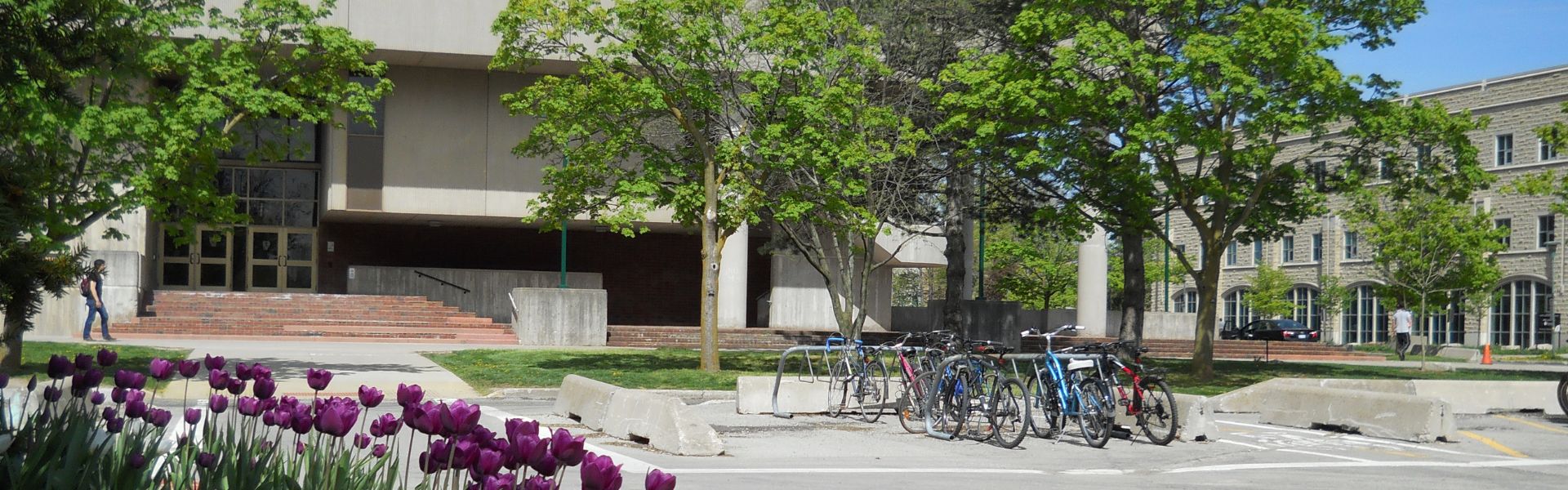 Department of Political Science - Political Science - Western University